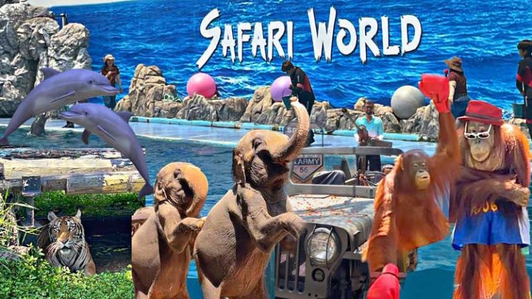 A Day at Bangkok Safari World and Marine Park: An Unforgettable ...