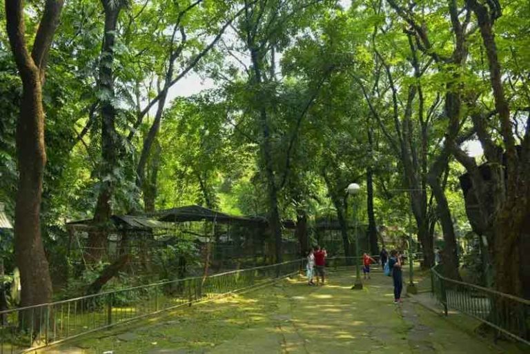 Phnom Tamao Wildlife Rescue Center | Cambodia Wildlife Sanctuary